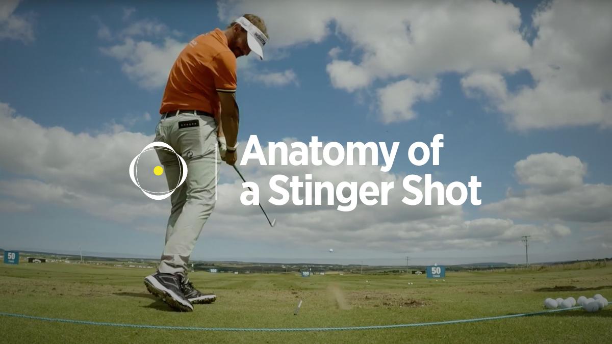 Golf Ball Physics and the Anatomy of the Stinger Shot